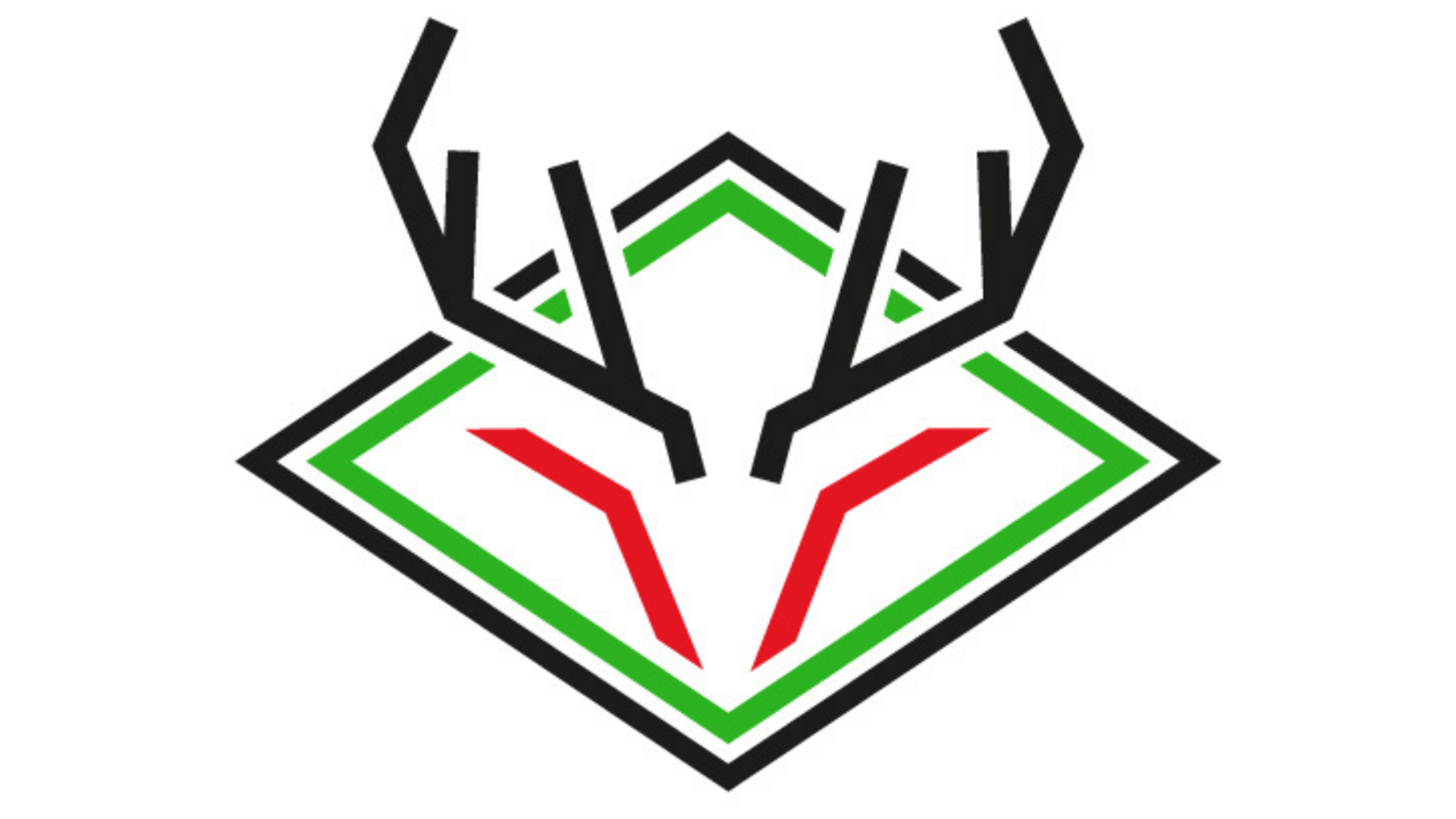 Stag Cricket: Everything you need to know