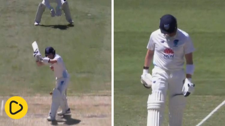 Watch: Steve Smith Out For A Duck Leaving The Ball On Sheffield Shield ...